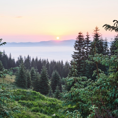 @Long T Nguyen - Thành Phố Buồn Tone Nam Nhạc Sống Trọng Hiếu - Hakara